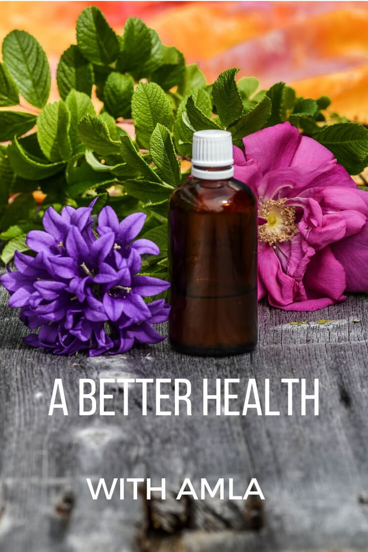 Amla Benefits for Health: Ultimate guide to Amla Juice, Powder, Dried Fruit