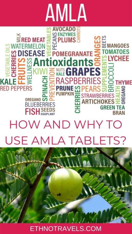 Amla Supplement Reviews - Amla Capsules Benefits | Ethno Travels