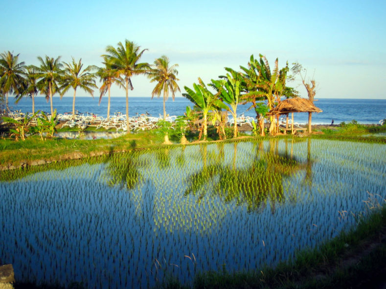 Visiter Bali en Indonésie - Guide de Voyage et Avis Bali